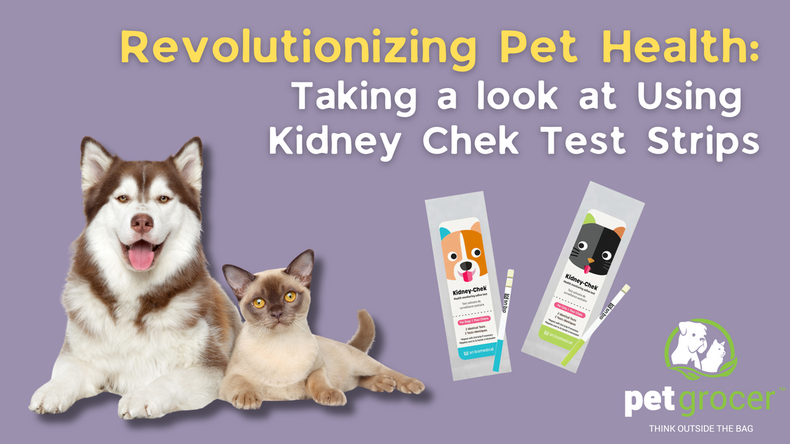 Revolutionizing Pet Health: Taking a look at Using Kidney Chek Test St ...