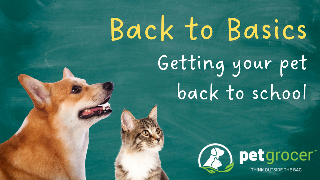 Getting Your Pet (And Yourself) Back to the Basics – Pet Grocer Inc.