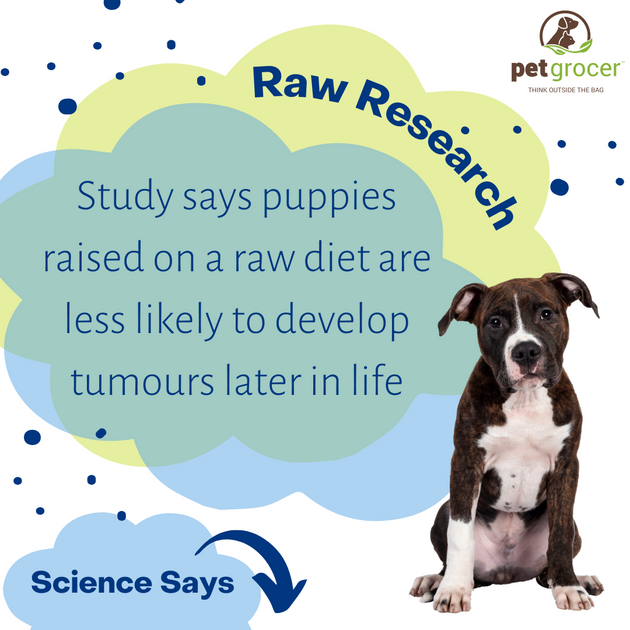Raw Science - Raw Feeding Shows Drop in Tumors – Pet Grocer Inc.