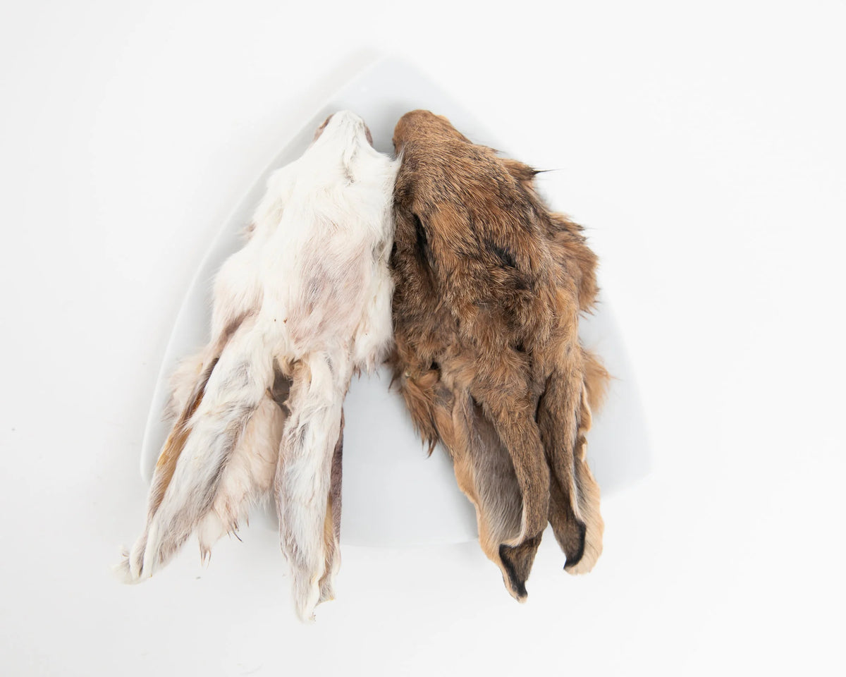 Grand Valley Quail - Dehydrated Whole Rabbit Head – Pet Grocer Inc.